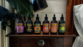 Life Cykel Mushroom Extracts — healthy.co.nz